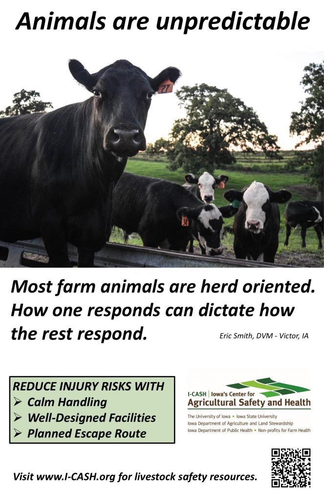 Livestock Handling Safety